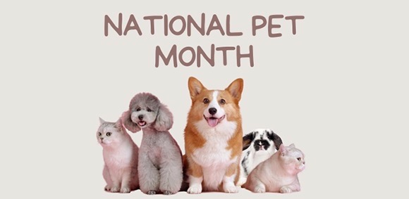 National Pet Month - Zallie Community Foundation